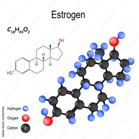 Estrogen Molecule