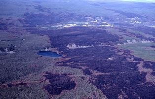 Ecology Wikipedia