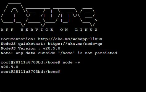 How To Fix Version Mismatch Between Runtime Node Version And Actual