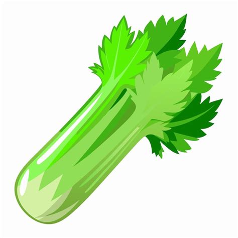 Celery Vegetable Vector Premium Ai Generated Vector