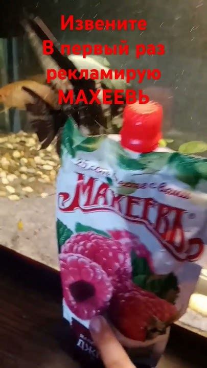 Покупайте махеевь Youtube