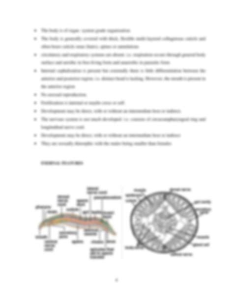 SOLUTION Phylum Nematoda 1 1 Studypool