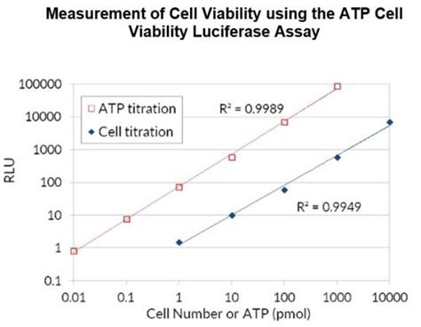 Atp Cell Viability Luciferase Assay Sct149