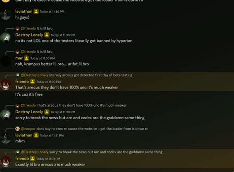 Average C Dex Discord Member R Robloxhackers