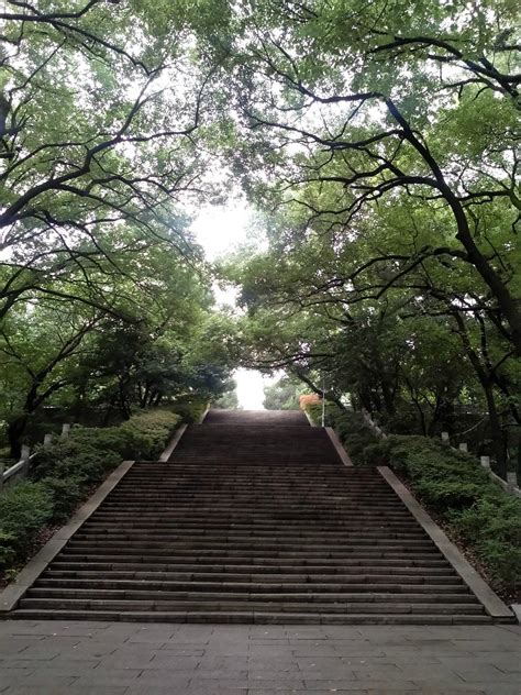 2025施洋烈士陵园游玩攻略烈士陵园的马路对面非常繁华【去哪儿攻略】