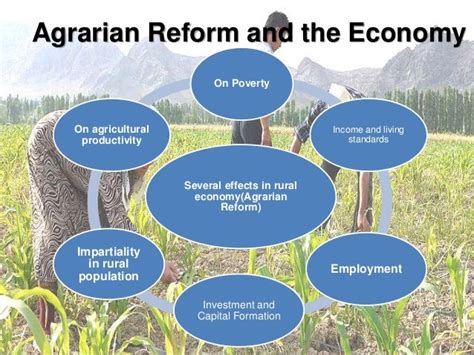 Comprehensive Agrarian Reform Program