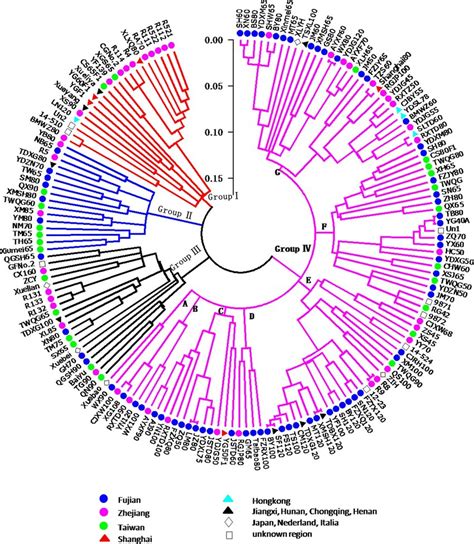 Dendrogram Constructed With A Neighbor Joining Nj Clustering