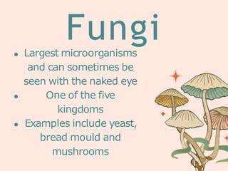 Grade 8 Microorganisms PPT