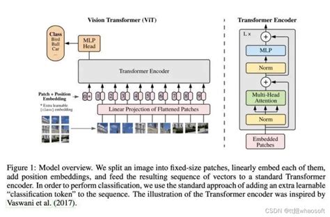 Transformer合集1transformer Inference Speed Csdn博客