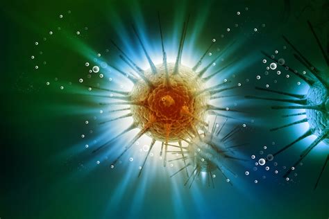 Highly Sensitive And Precise In Vivo Luminescence Imaging