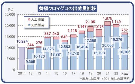 国内養殖クロマグロ出荷3年ぶり2万トン割れ 水産庁データで見る23年実績 みなと新聞 電子版