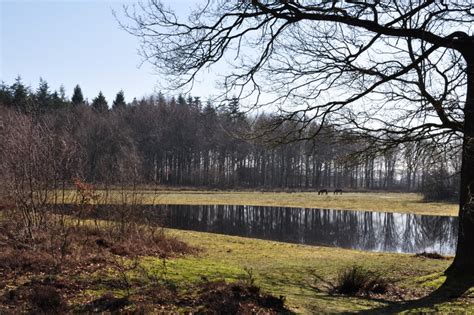 Friesland Wandelvanuit Bakkeveen Wandelvanuit