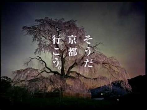 JR東海 そうだ京都行こう 2006年 春 円山公園編 YouTube