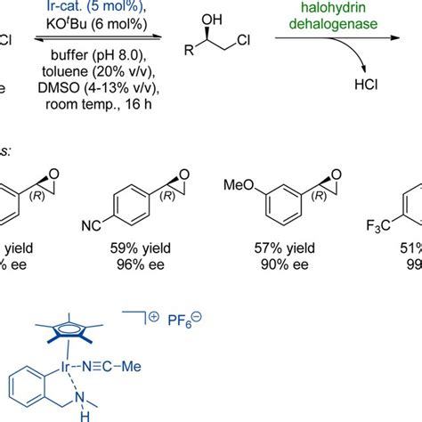Scheme Dynamic Kinetic Resolution of Racemic βChloroalcohols to Download Scientific Diagram