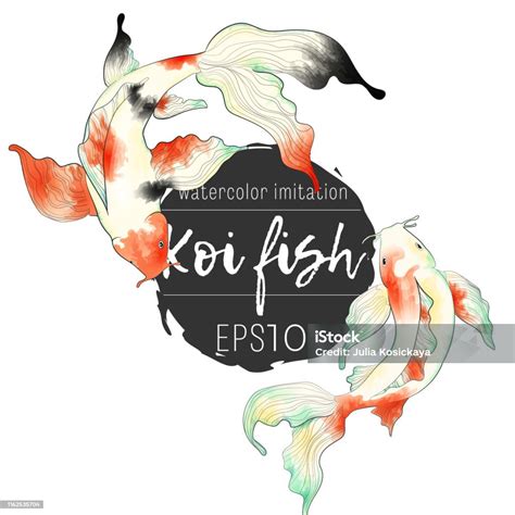 일본 잉어 물고기 손 그리기 수채화 모방 일러스트 컬렉션 아시아 스타일의 화려한 잉어의 클립 아트 비단잉어에 대한 스톡 벡터 아트 및 기타 이미지 Istock