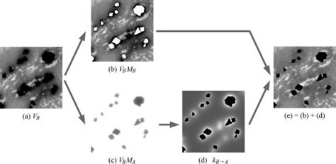 The Filter Steps Of The Backward Correction Shown For The Rose Stem Download Scientific
