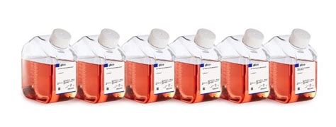 CTS Viral Production Medium