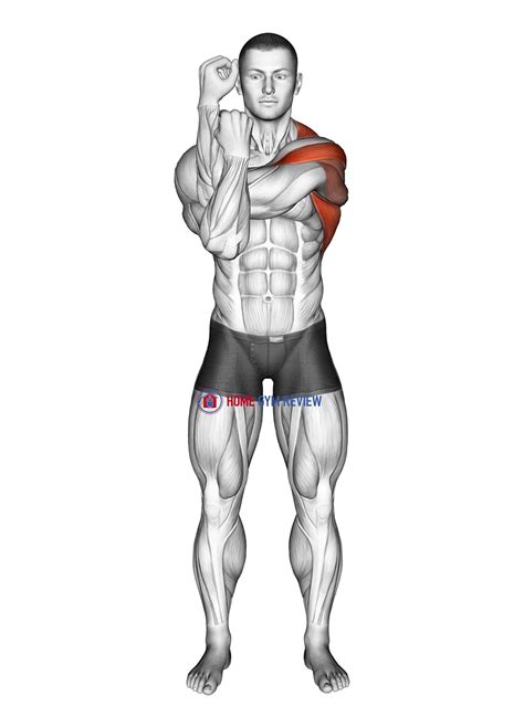Bent Arm Shoulder Stretch Home Gym Review