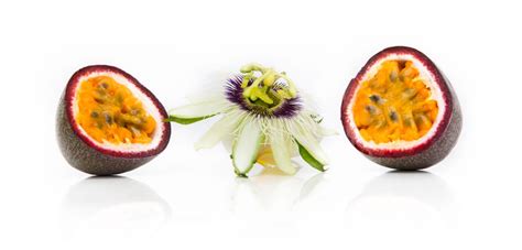 Fruit De La Passion Imagens Procure 904 Fotos Vetores E Vídeos