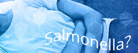 Foodborne Illness Caused By Salmonella Bacteria Dtpm