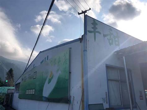 临海蜜桔 圳品企业