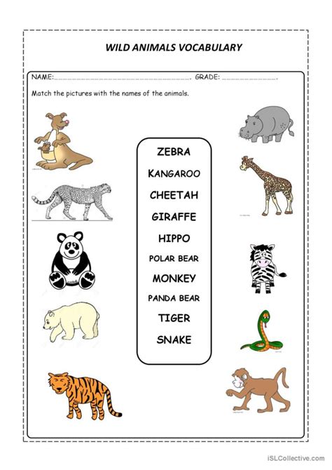 Wild Animals Vocabulary English Esl Worksheets Pdf And Doc