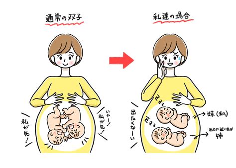 双子姉妹の決まり方。 Kinokoillust＆design