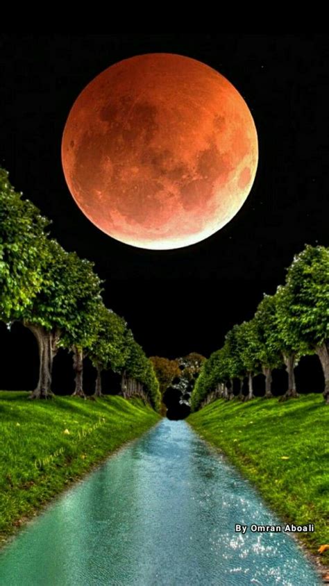 Images Of Luna Japaneseclass Jp