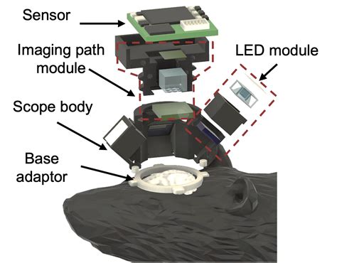 open source tian lab