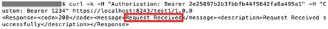 Passing A Custom Authorization Token To The Backend Wso2 Api Manager