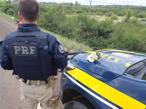 Jovem de 18 anos é preso em flagrante por tráfico de drogas na BR 290