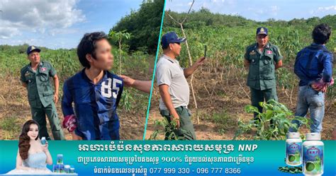 ឃាត់ខ្លួនជនសង្ស័យ ម្នាក់ បានយកកាំបិតផ្គាក់ ទៅកាប់បំផ្លាញដំណាំកៅស៊ូ
