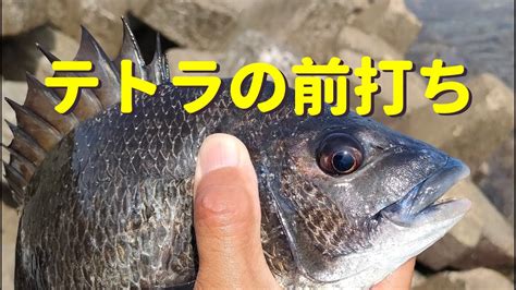 荒れた日はテトラの前打ちが熱い【知多半島チヌ釣り】 Youtube