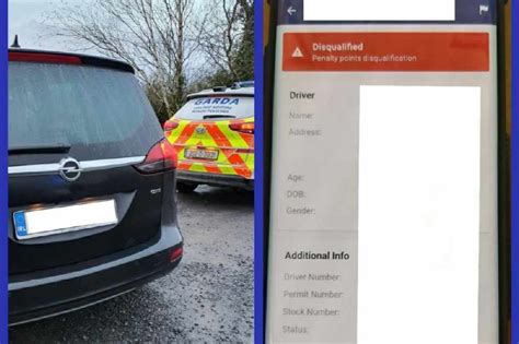 Disqualified Driver Arrested On Roads Of Laois Midlands 103