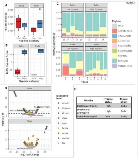 Model Tumors Also Have Oxygen Dependent Microbial Strain Differences
