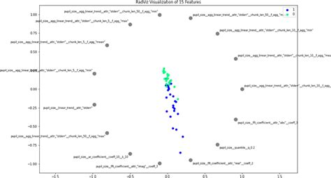 Radviz Visualization Of Filtered Features Download Scientific Diagram