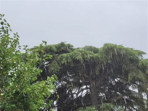 Vuelve El Calor Lunes Con 40 ºc Y Después Regresan Las Lluvias Y