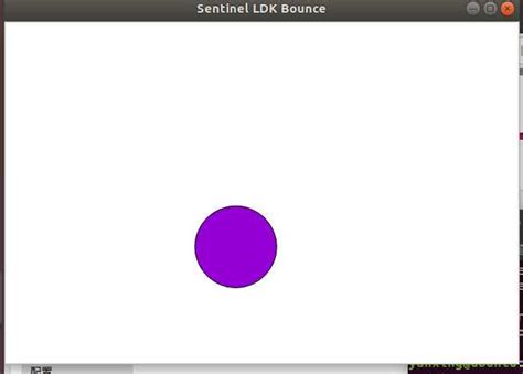 Sentinel圣天诺加密狗简单使用教程linuxsentinel U盘干嘛用的 Csdn博客