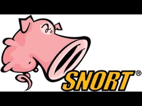 Setting Up Snort Windows YouTube