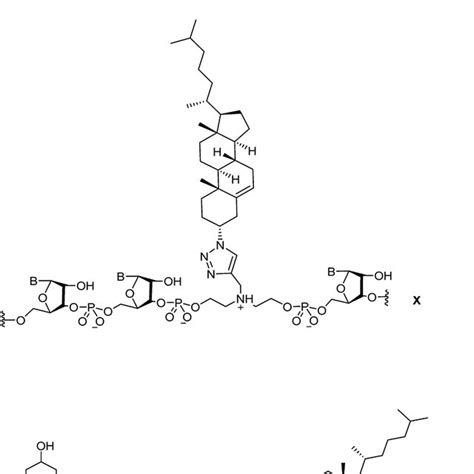 Structural Differences Between Native Rna Cholesterol Modified Download Scientific Diagram