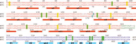 Sequence Alignment And Secondary Structure Elements The Insertion Of