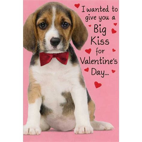 Puppy Wanted To Give Big Kiss Humorous Funny Dog Valentines Day Card