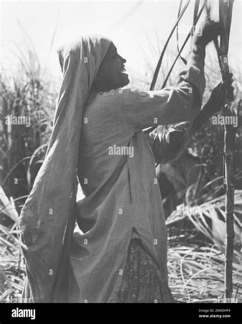 Old Vintage Outdoor Portrait Black And White Early 1900s Silver Gelatin