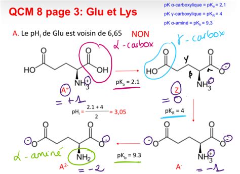 td sur les acides aminés UE1 Biochimie Tutorat Associatif Toulousain