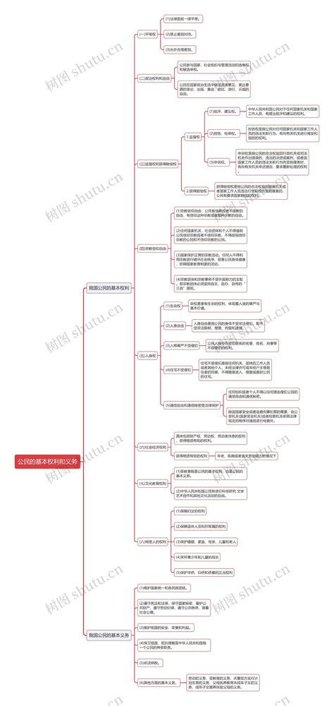 公民的基本权利和义务思维导图编号z109184 Treemind树图