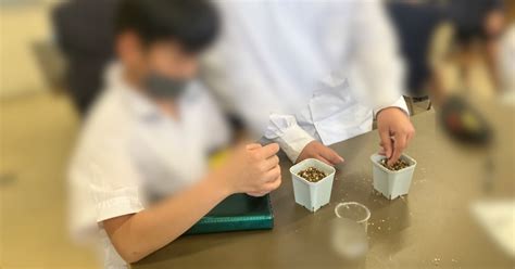 5年生 理科「種子の発芽と成長」｜泉大津市立楠小学校