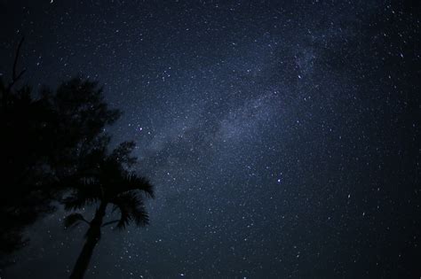 石垣島 星空浴ツアー 石垣島八重山日替りチャンプルーブログ 楽天ブログ