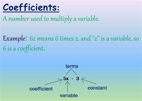 Factors And Coefficients Of A Polynomial A Plus Topper