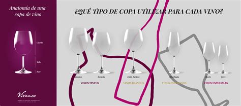 Qué tipo de copa utilizar para cada vino tinto blanco espumoso