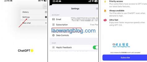 chatgpt plus 开通教程之使用 ios 礼品卡升级 chatgpt plus 订阅 老王博客